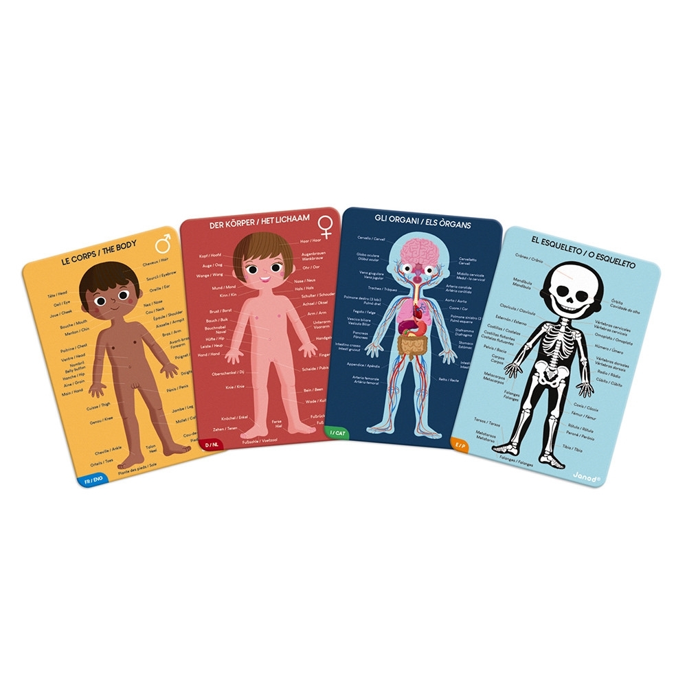 Story box toys and books. Едукативна сложувалка - Човечко тело