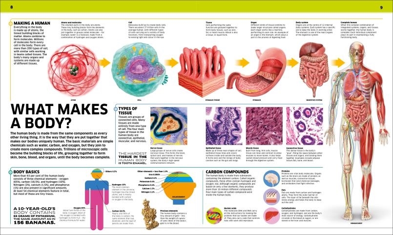 Story box toys and books. Knowledge Encyclopedia Human Body!