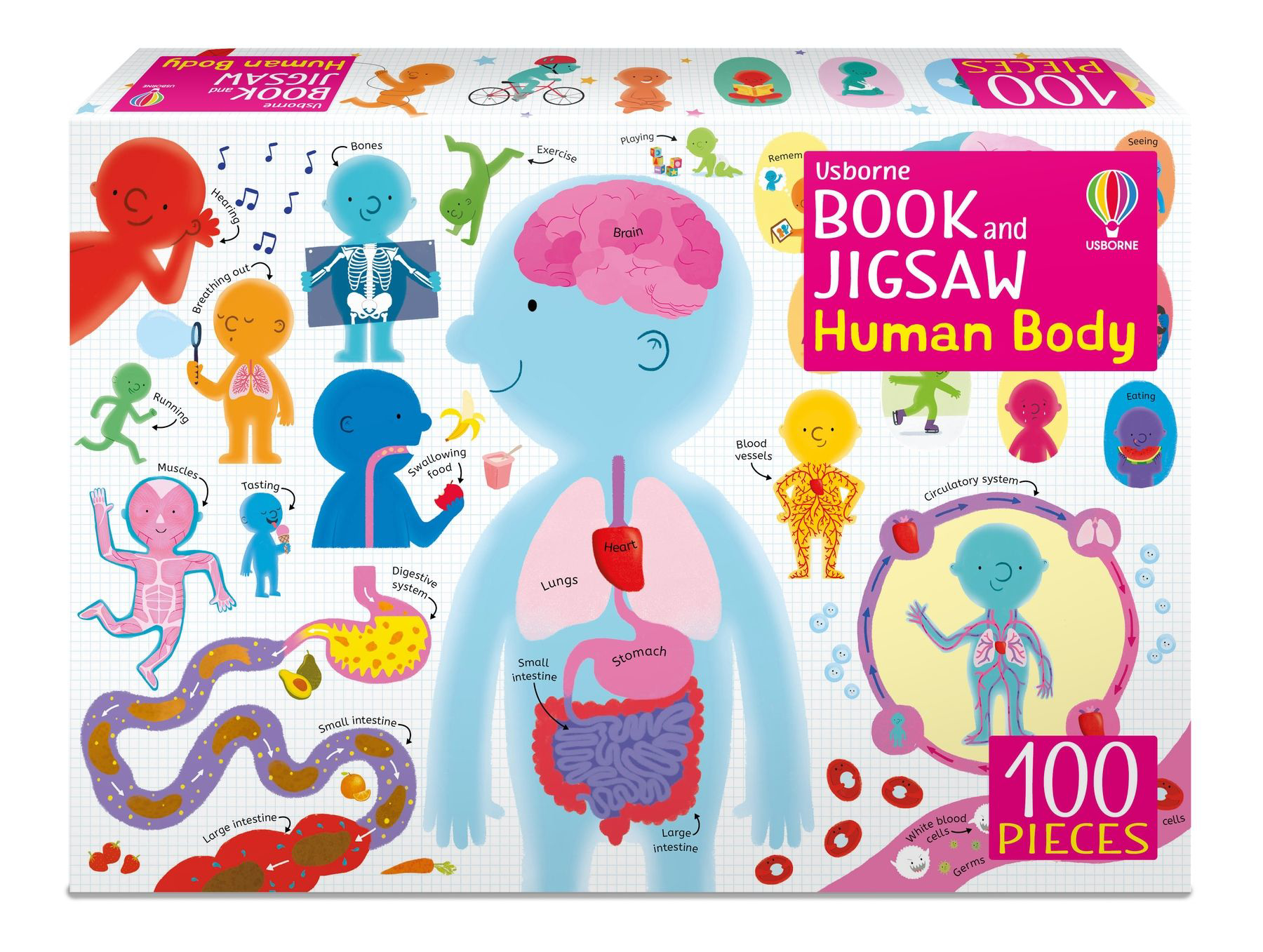 Story box toys and books. Usborne Book and Jigsaw Human Body