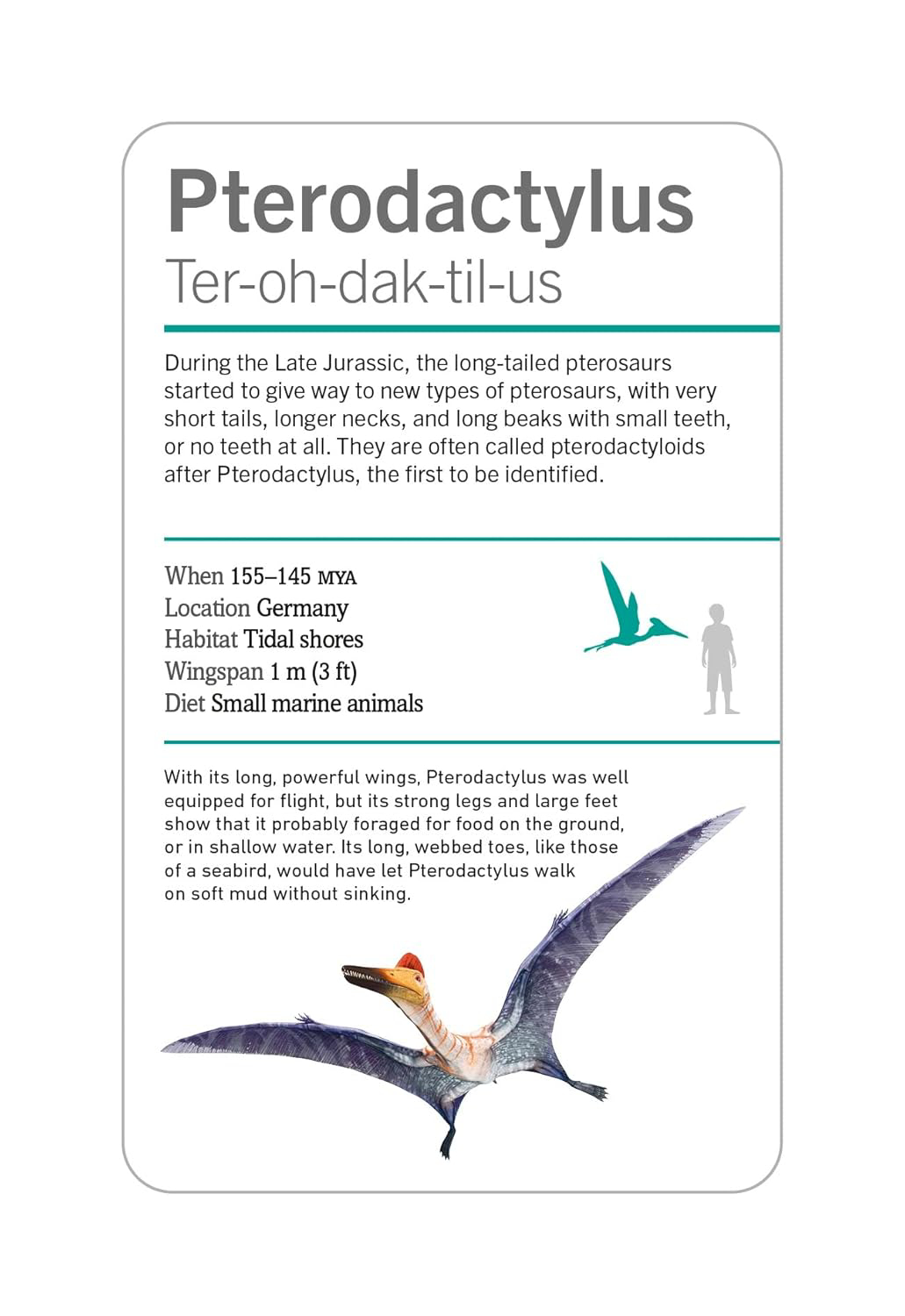 Story box toys and books. Dinosaurs and Other Prehistoric Creatures ...