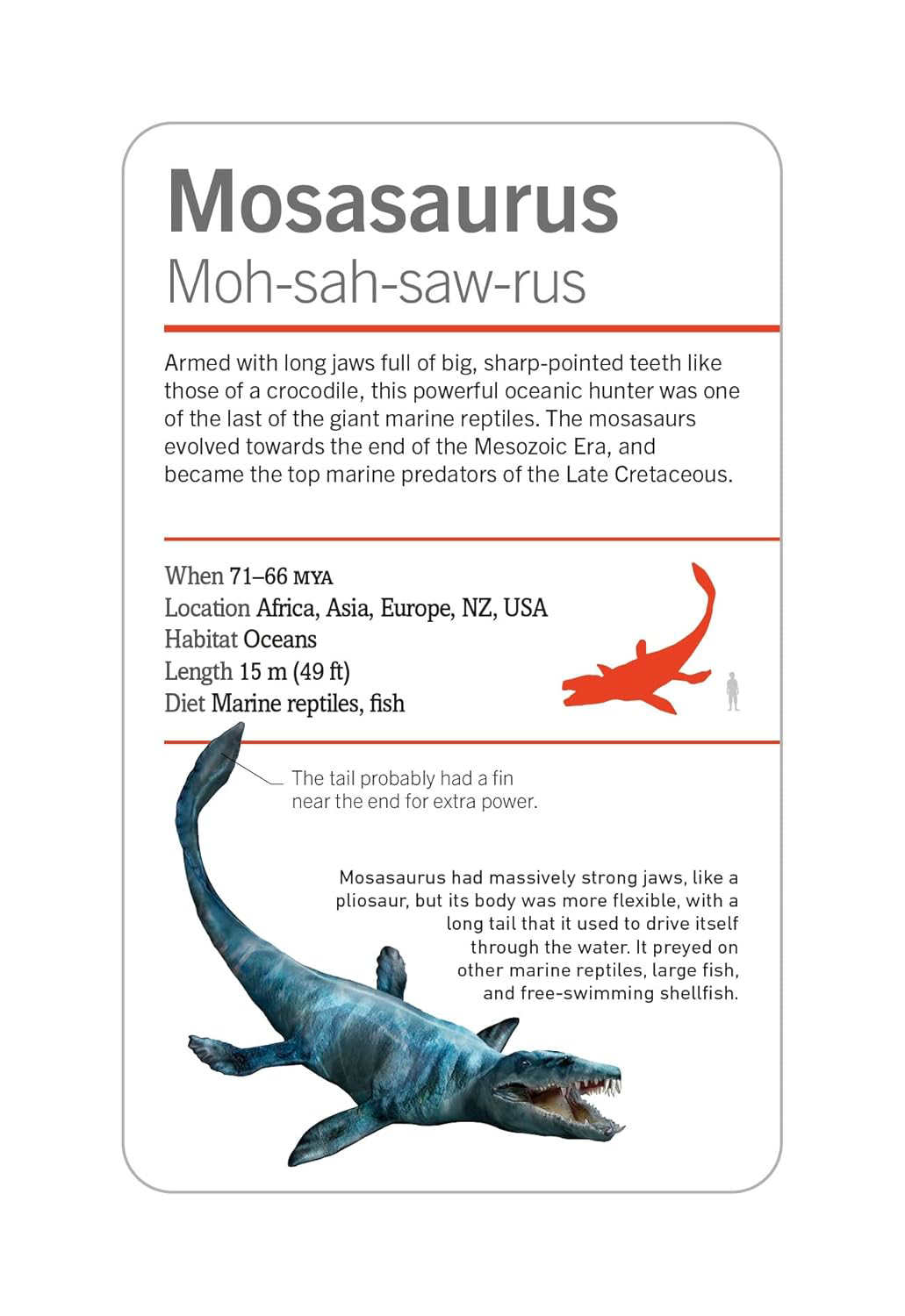 Story box toys and books. Dinosaurs and Other Prehistoric Creatures ...