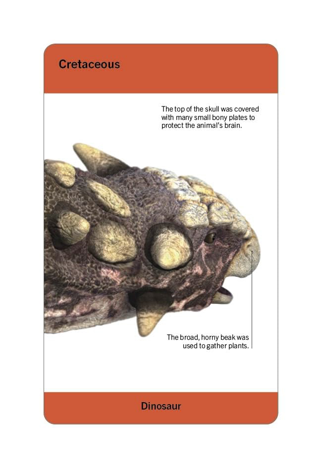 Story box toys and books. Dinosaurs and Other Prehistoric Creatures ...