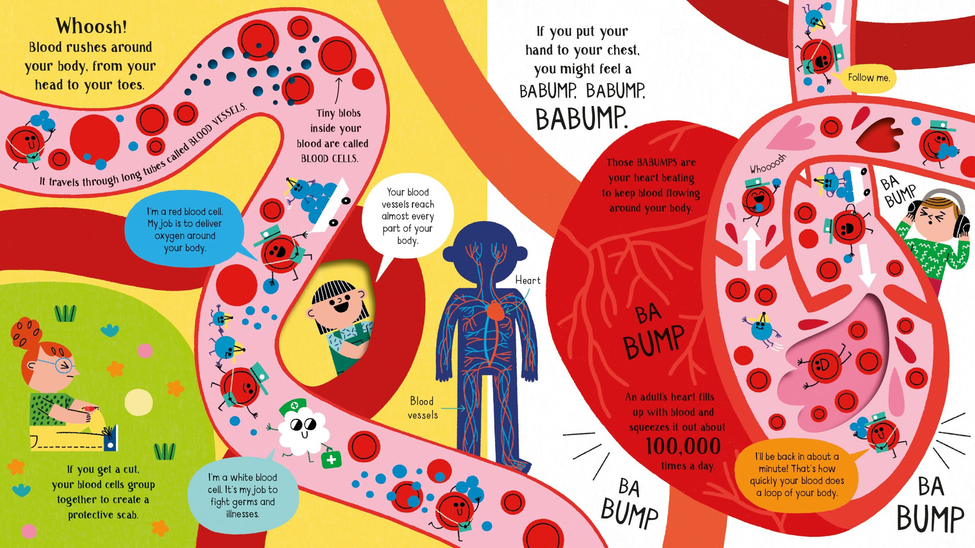 Story box toys and books. Step inside Science: Your Body