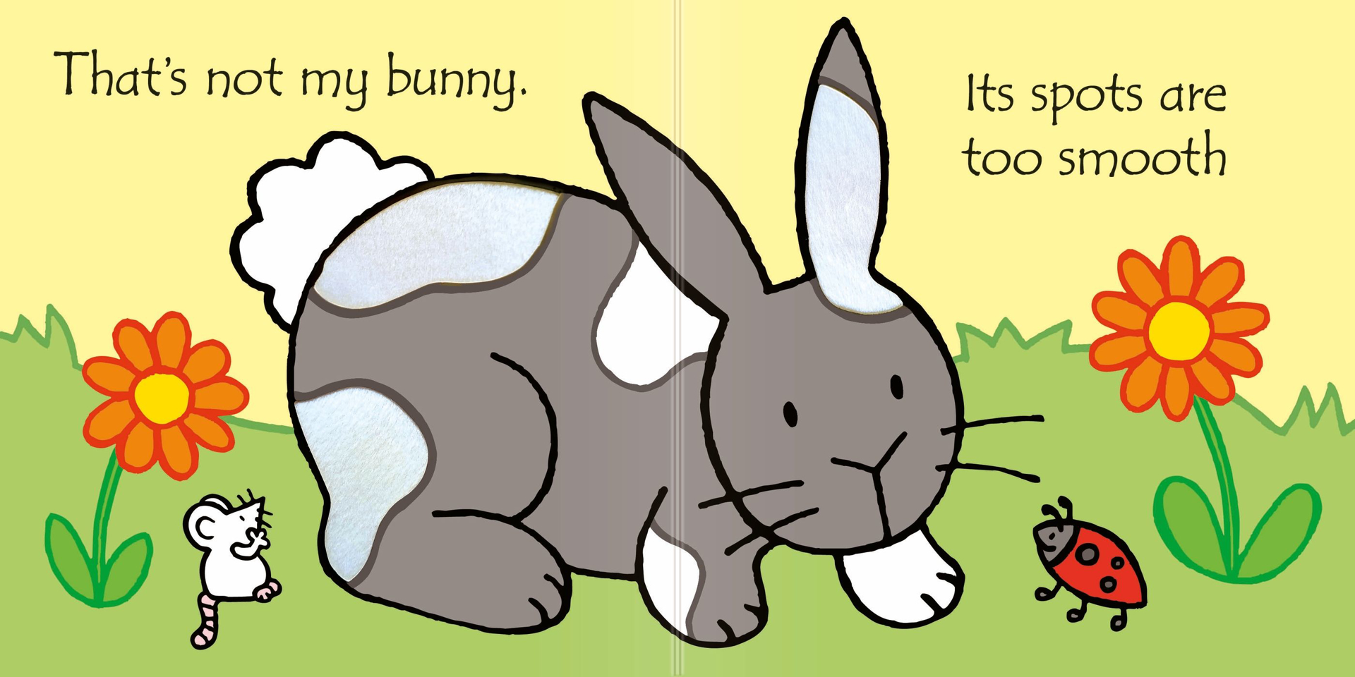 Story box toys and books. That's not my bunny…