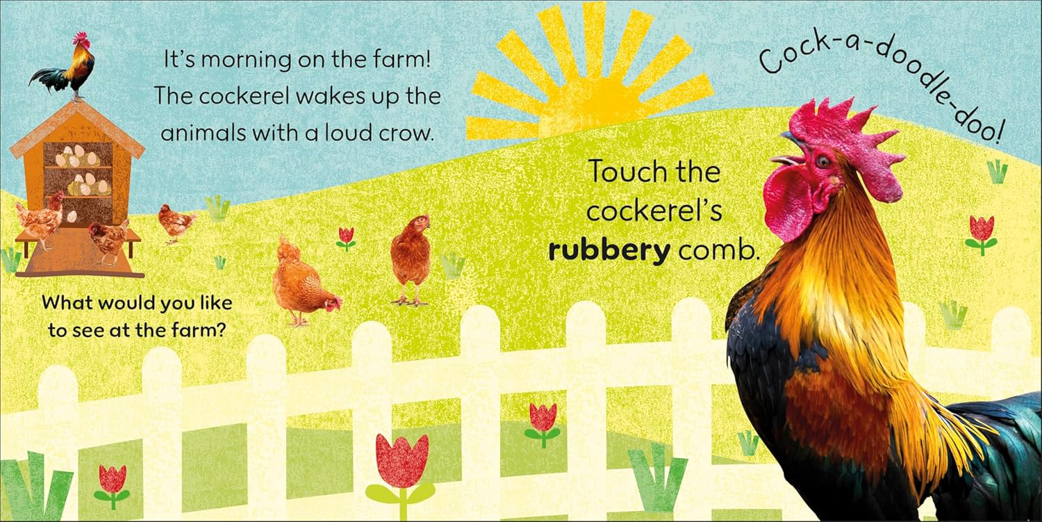 Story box toys and books. Touch and Feel Farm With Tactiles for ...